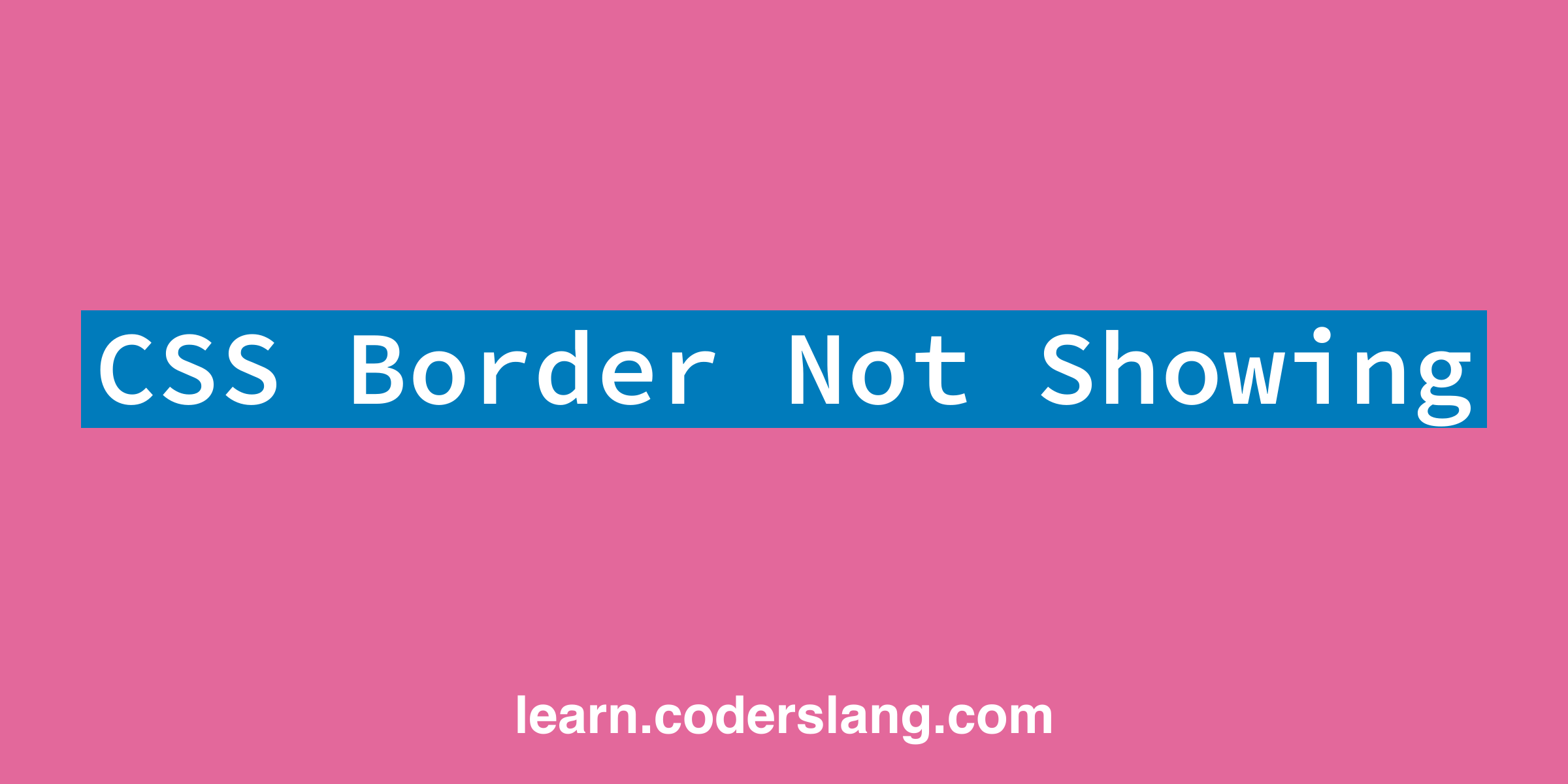 CSS Border Not Showing